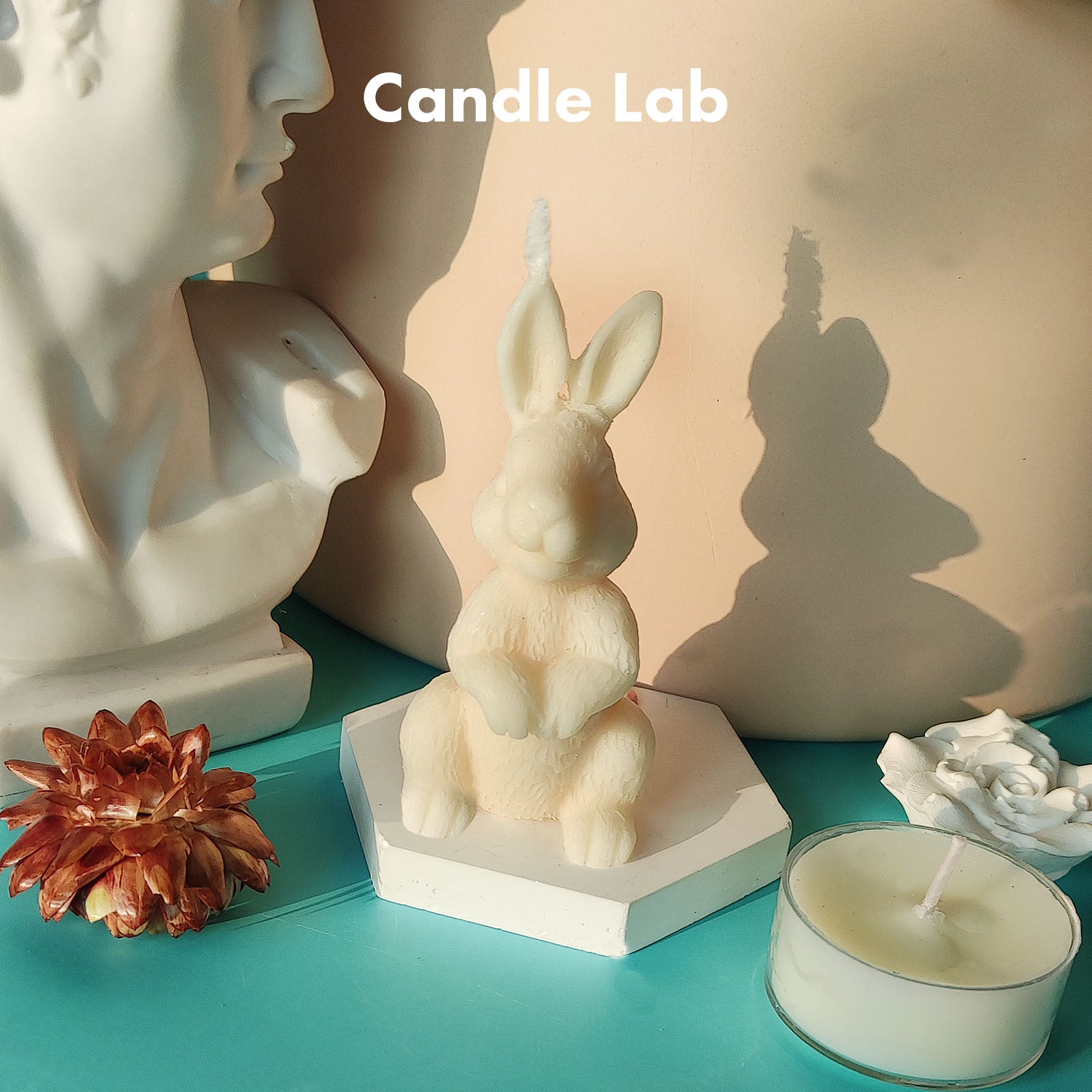 Candle Molds Set (2 Pcs) Easter Egg Acrylic Mold and Bunny Silicone Mo ...